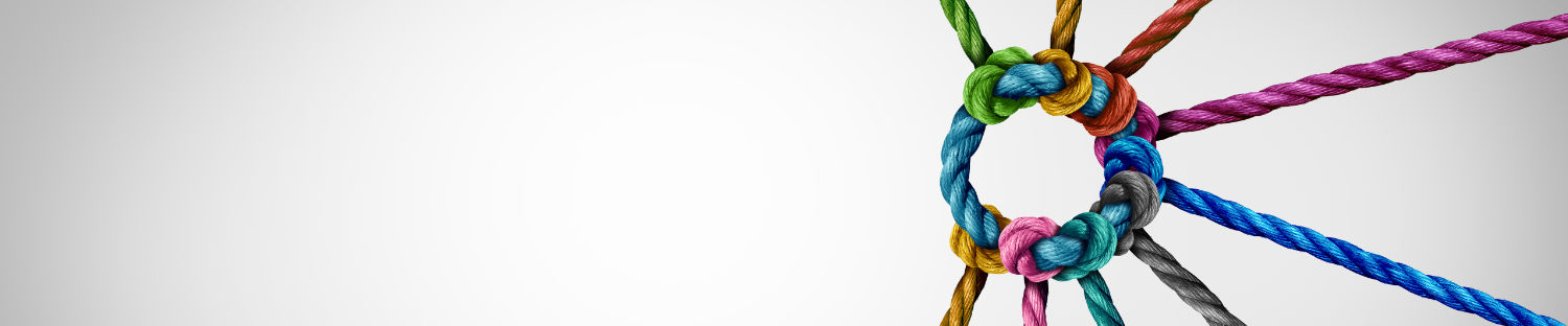 Meet the Team - Phinch